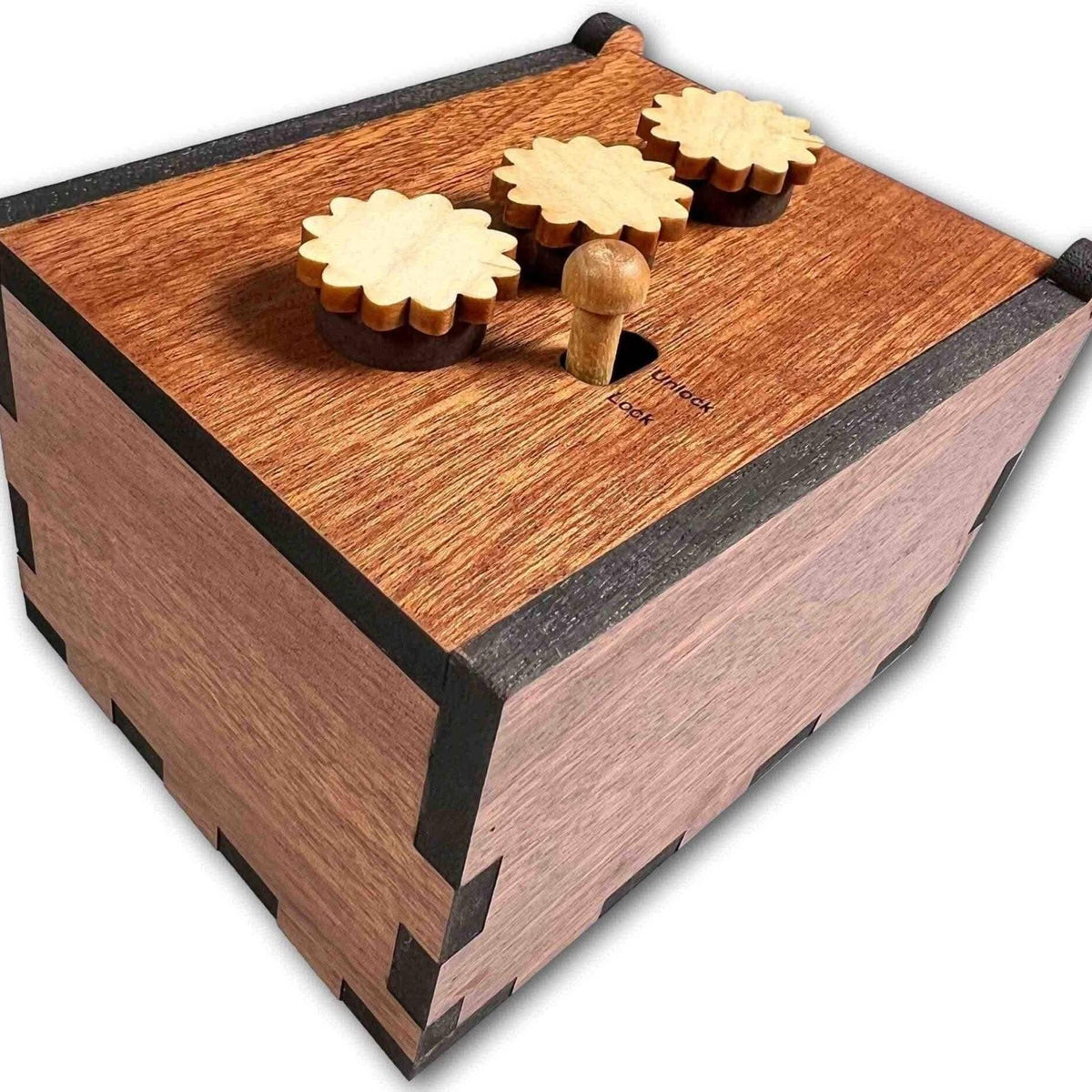 Secret Lock Box II – Mahogany Puzzle Box for Cash, Keys & Jewelry ...